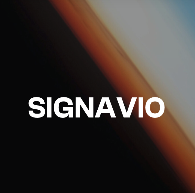 Signavio: Transforming Processes into Results - newITera